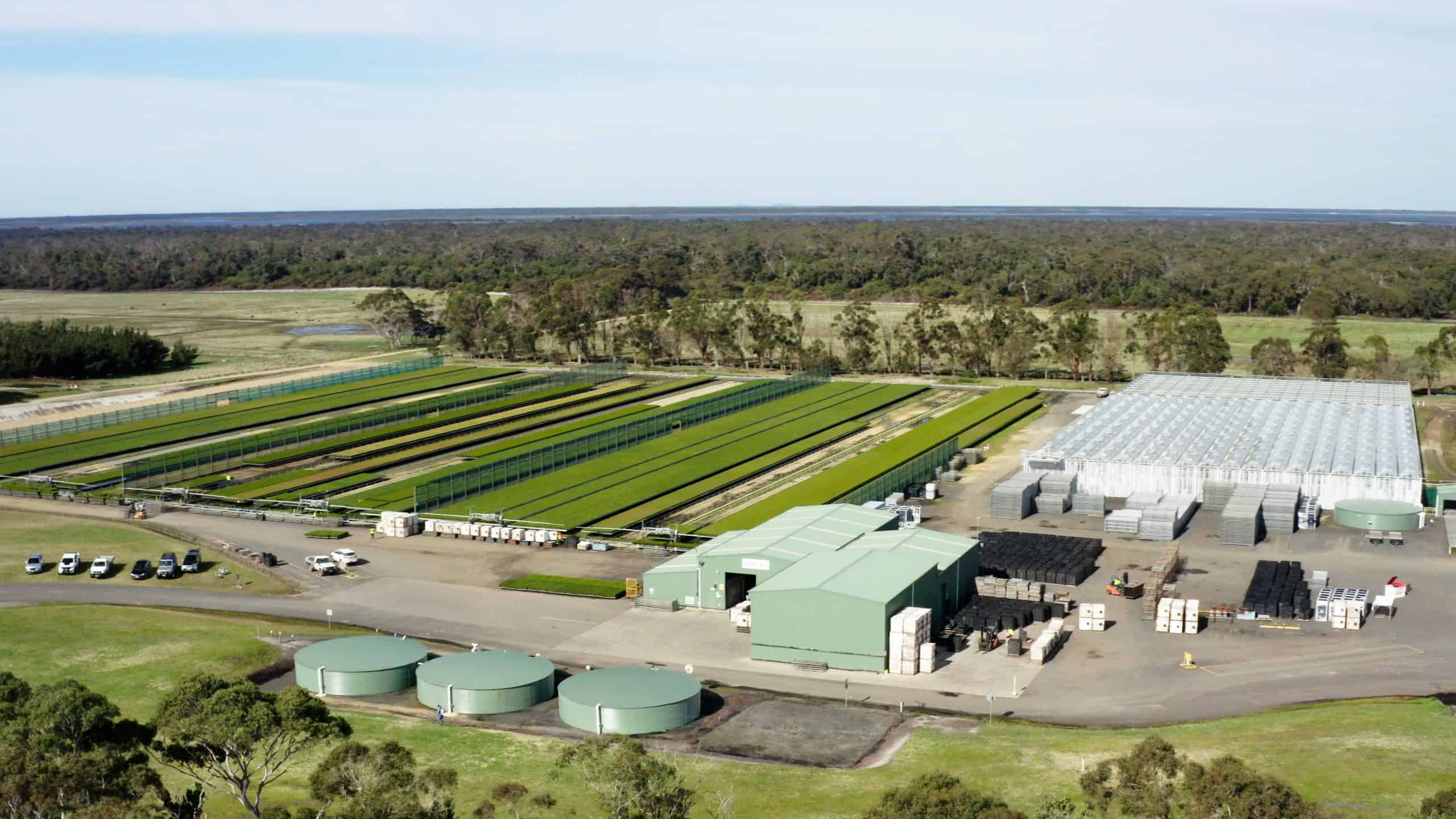 VFP - growing the future of Victorian Timber - Reimagine Films